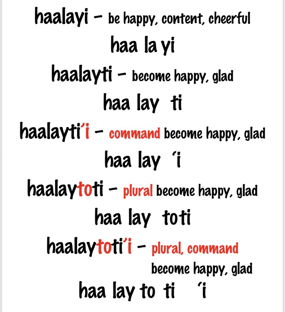 Mesa Media, Inc. - Revitalizing the Hopi language